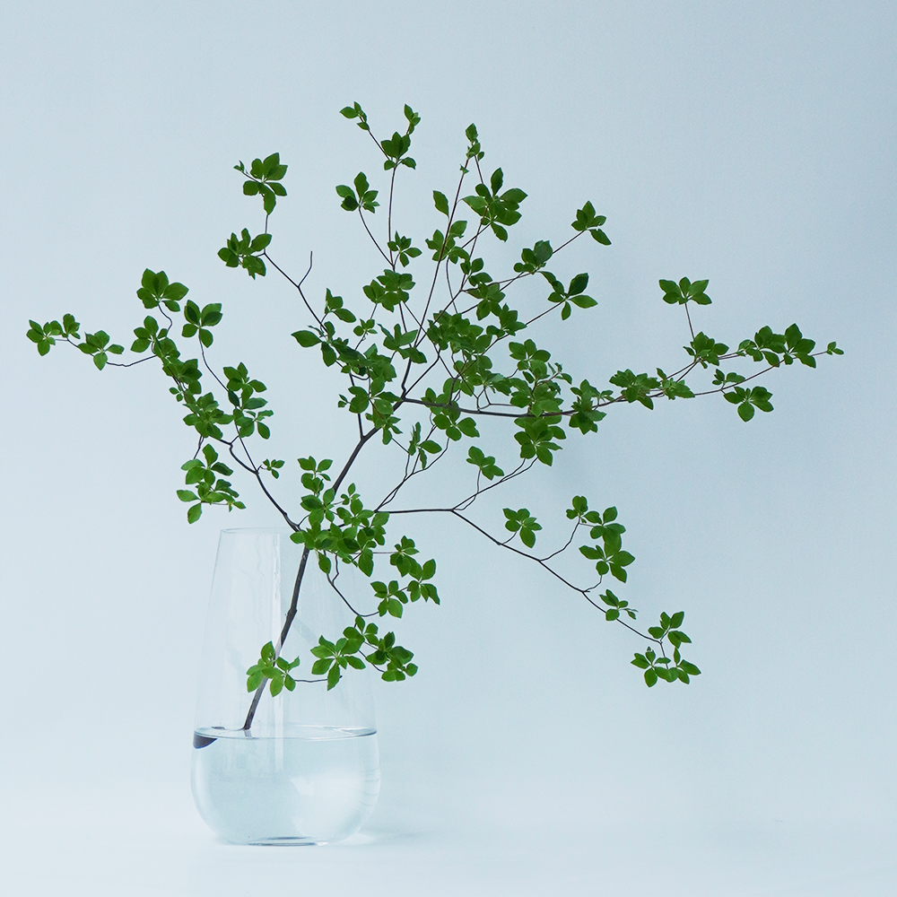 Summer campaign 2023